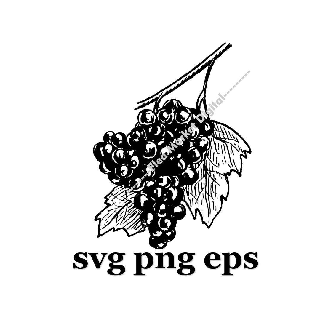 Grape Grapes SVG PNG EPS Clipart 1 - Etsy
