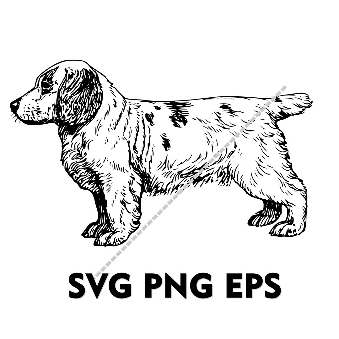 Clumber Spaniel Dog SVG PNG EPS - Etsy