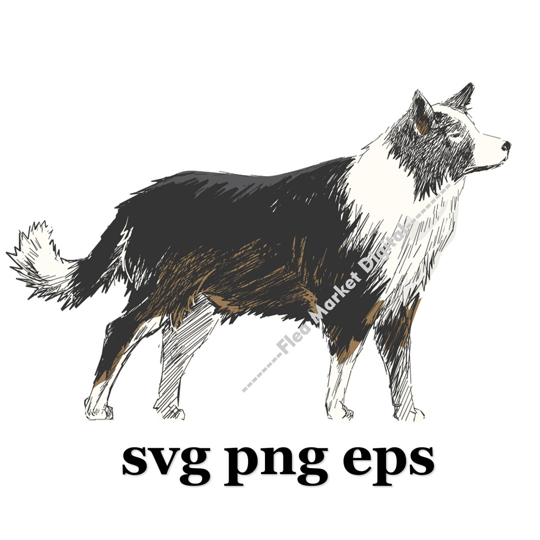 Buy Dog Breed Nice Smooth Collie SVG PNG EPS Clipart Online in India - Etsy