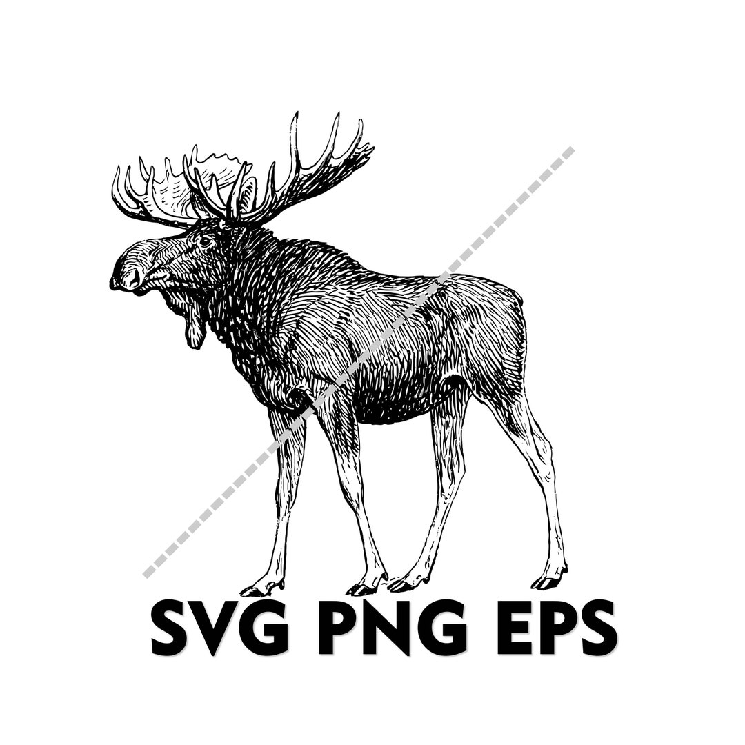 Moose SVG PNG EPS - Etsy