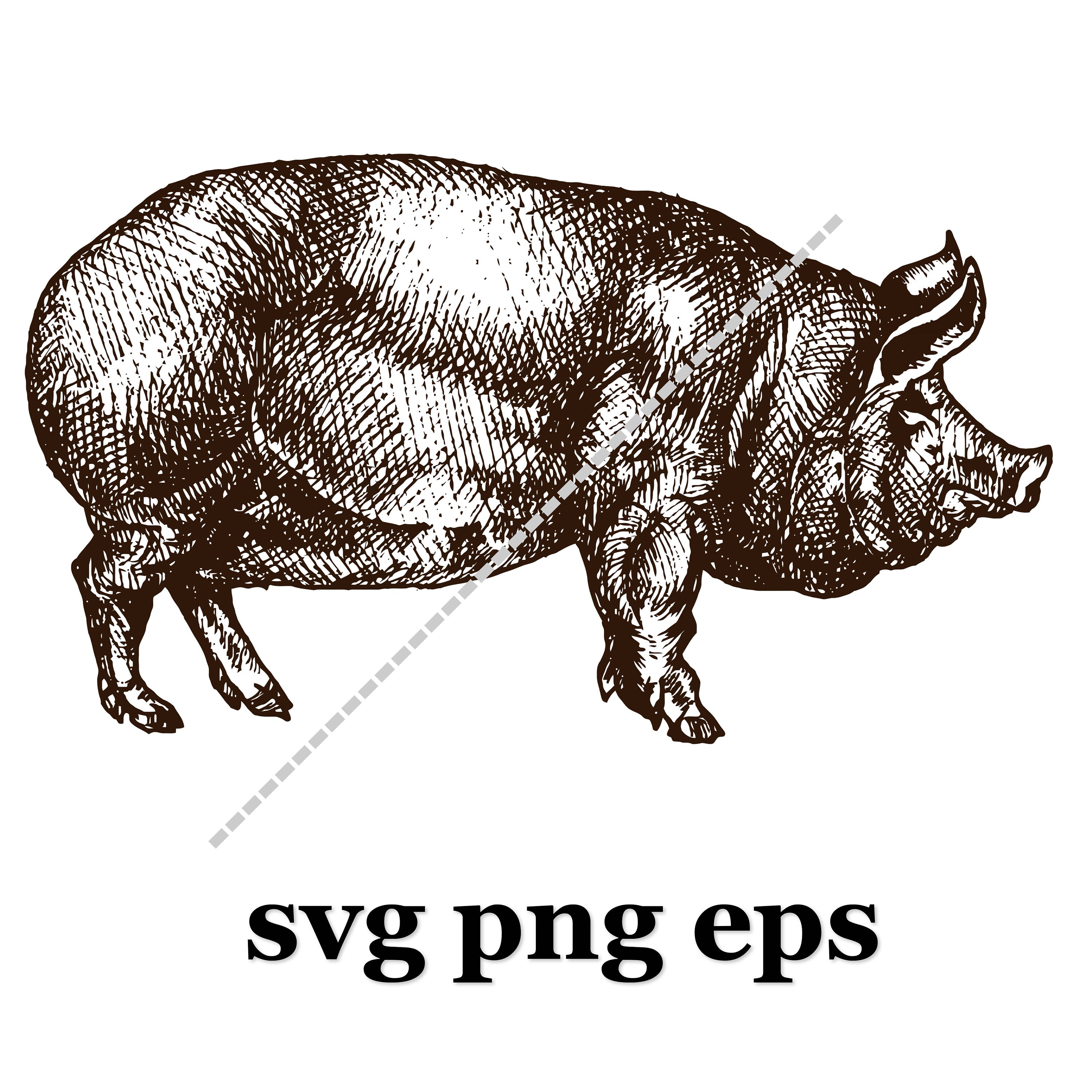 Hand Drawn Pig SVG PNG EPS - Etsy