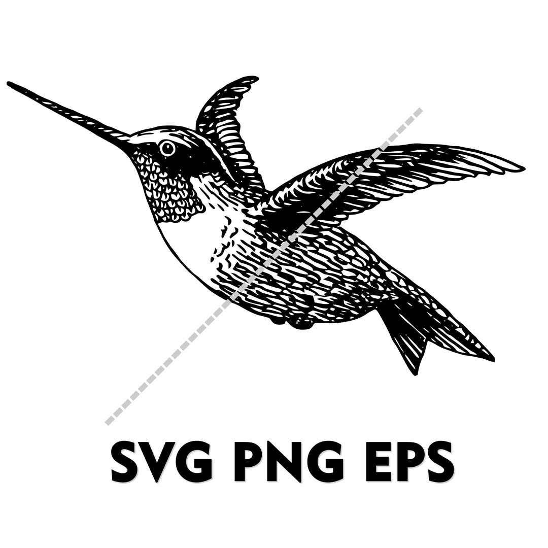 Hummingbird SVG PNG EPS - Etsy