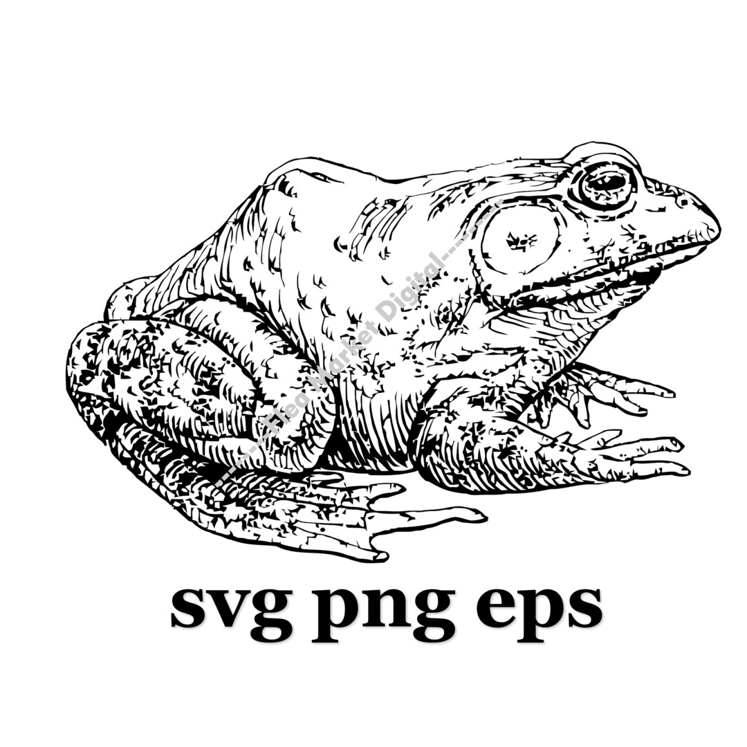 Bullfrog Frog SVG PNG EPS Clipart 1 - Etsy