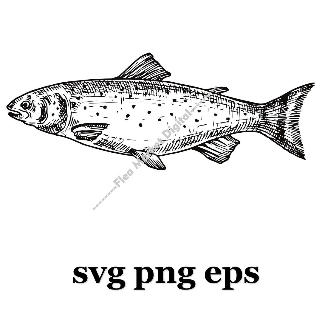 Trout Fish SVG PNG EPS - Etsy