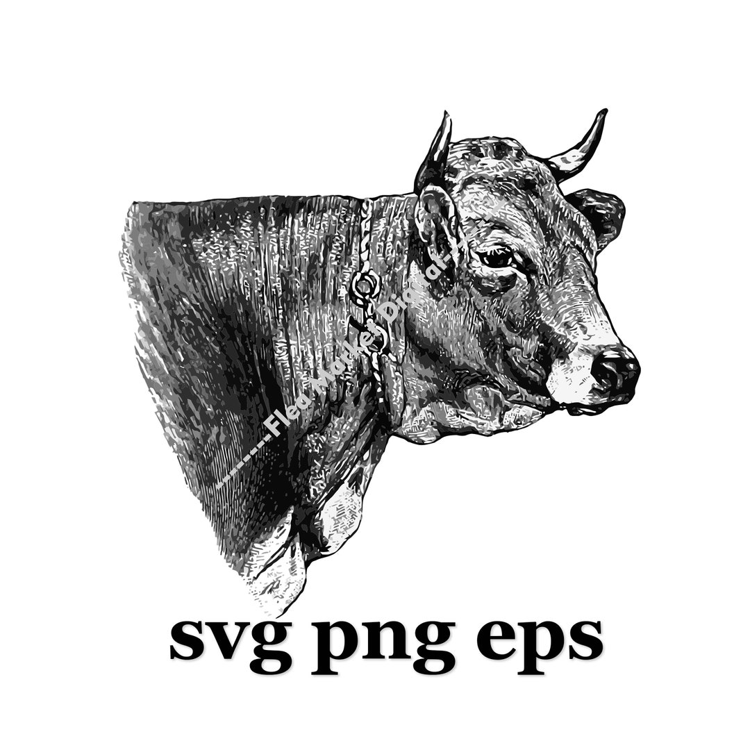 Cow Head SVG PNG EPS Clipart # 1 - Etsy