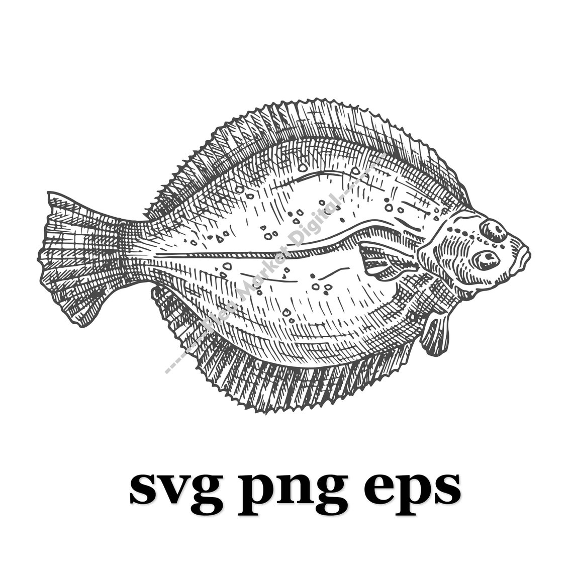Flounder Fish SVG PNG EPS - Etsy
