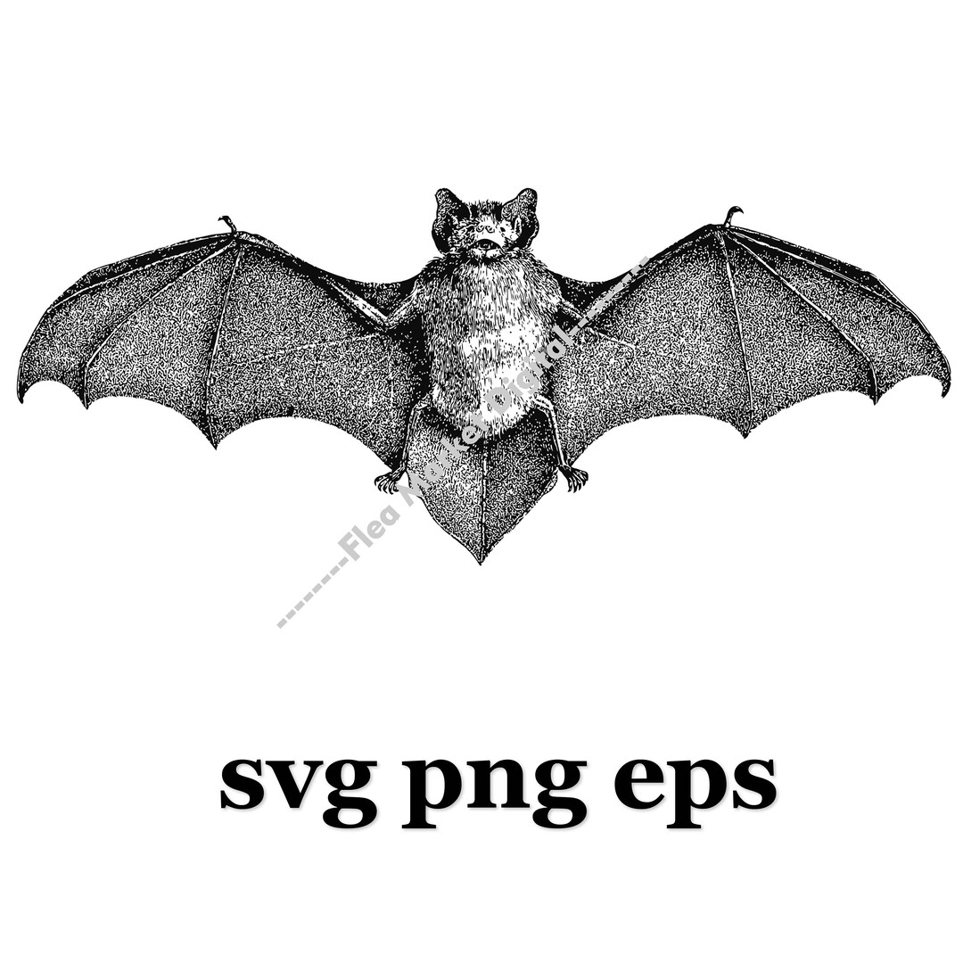 Bat SVG PNG EPS Clipart # 6 - Etsy