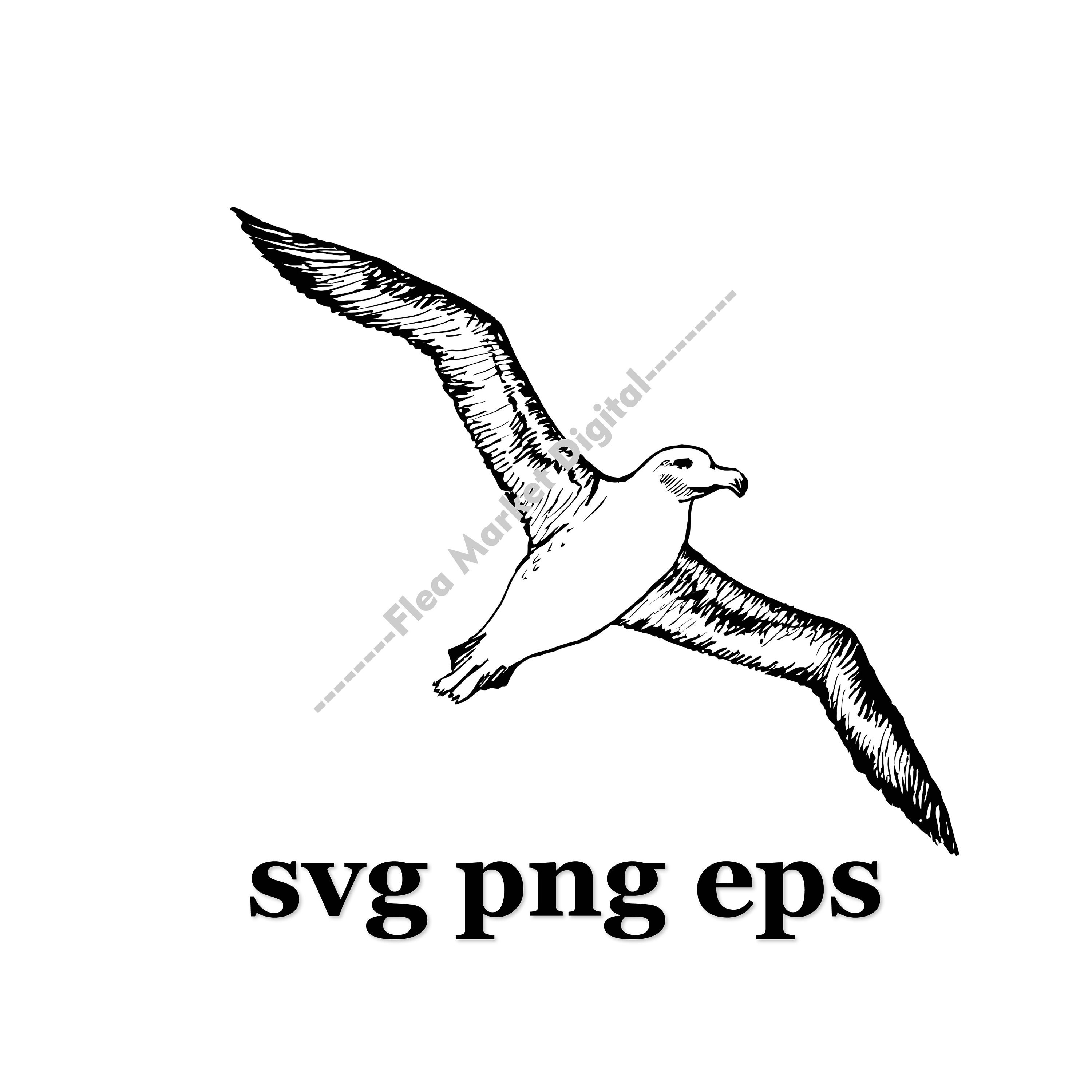 Sea Bird Albatross SVG PNG EPS Clipart 1 - Etsy