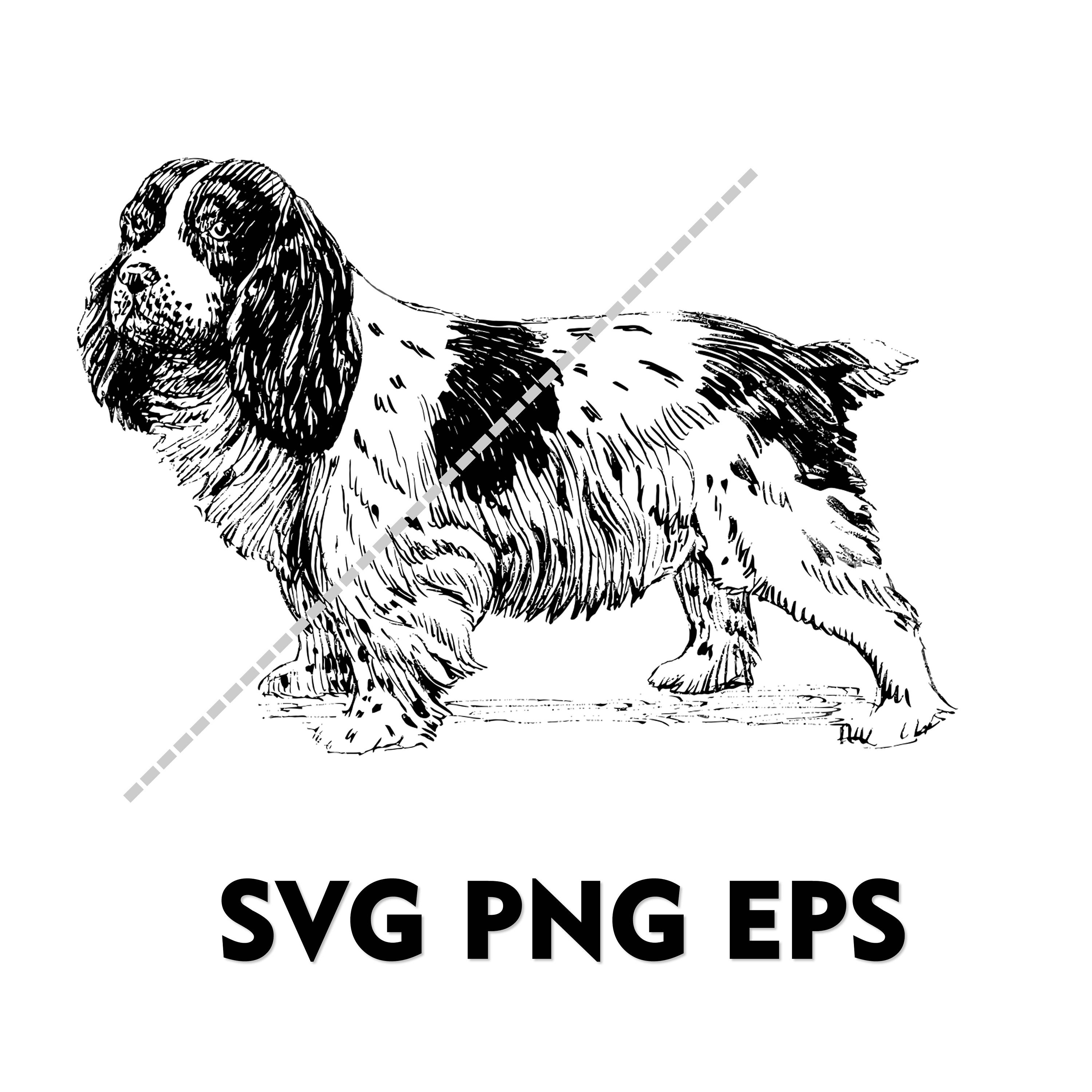 Spaniel Dog SVG PNG EPS - Etsy