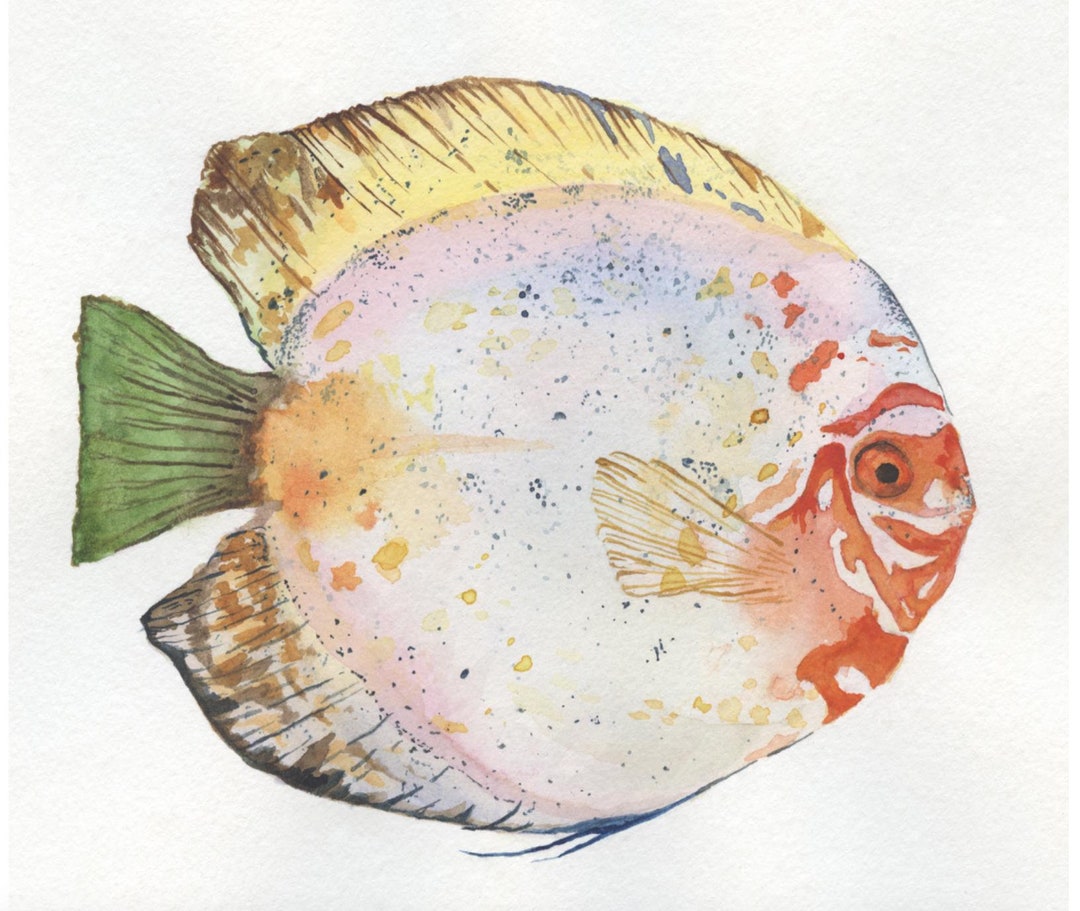 Rainbow Fish Print - Etsy