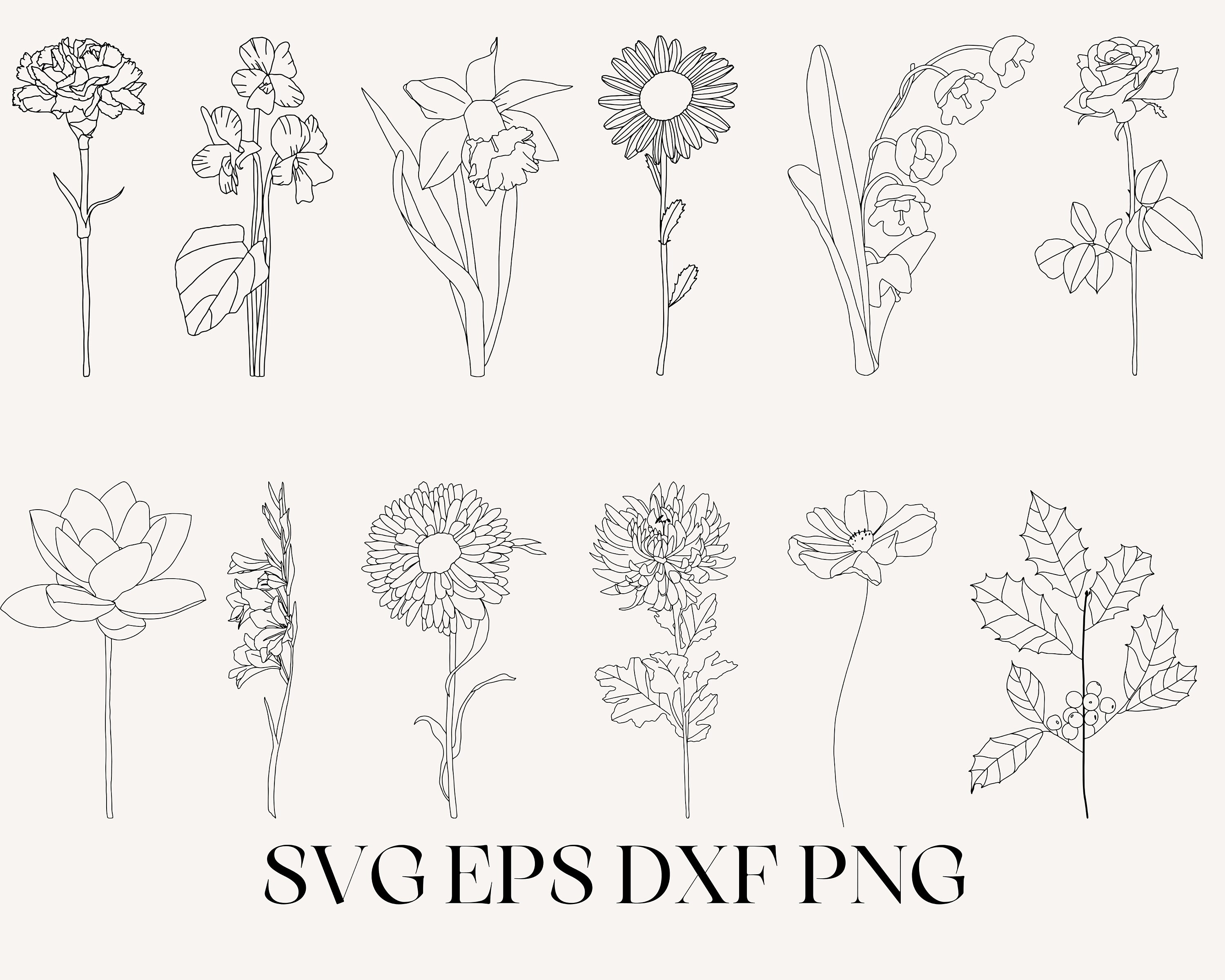 Birth Month Flower Line Art Birth Flower Svg Bundle Digital - Etsy UK