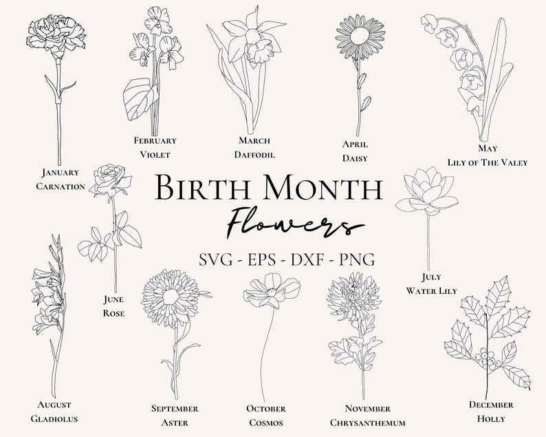 Birth Month Flower Line Art Birth Flower Svg Bundle Digital Hand-drawn ...