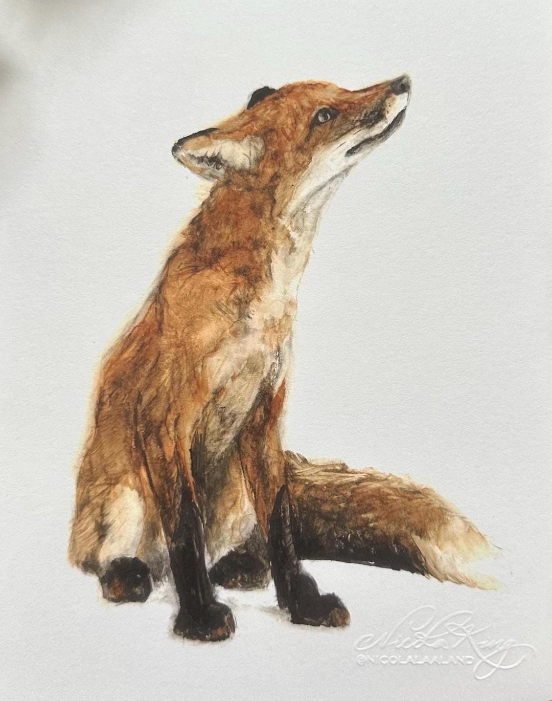 Friendly Red Fox - A5 Print: British Wildlife Art, Ready to Frame (10 ...