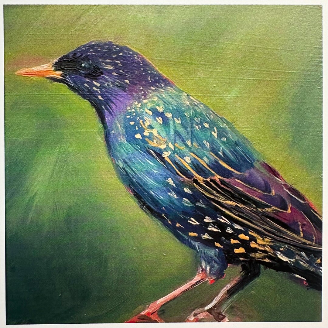 Starling Bird Greeting Card: British Garden Bird Art, Eco-friendly - Etsy