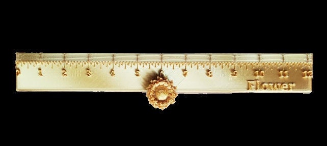 Custom 12in Ruler - Etsy