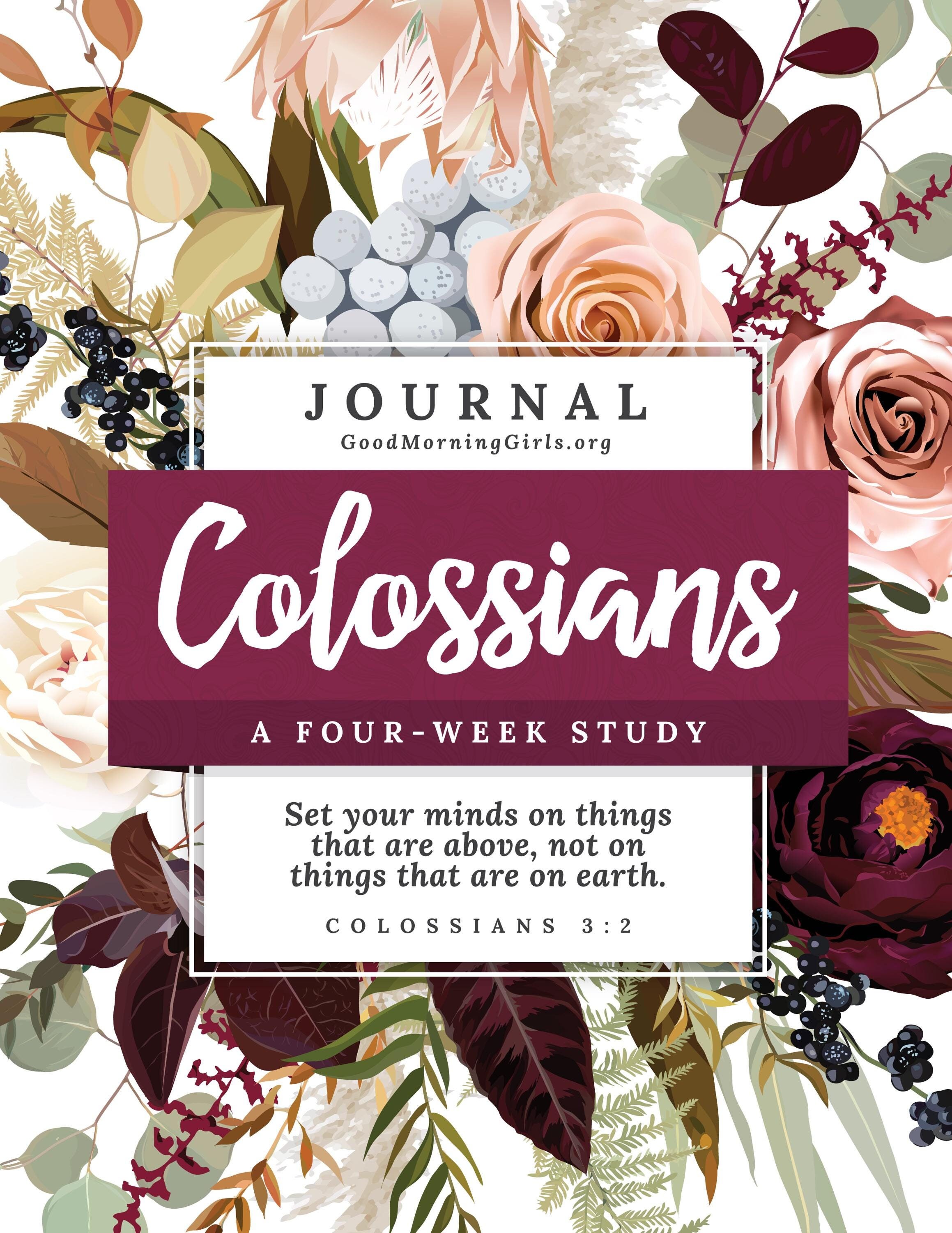 COLOSSIANS: A Four-week Study - Etsy