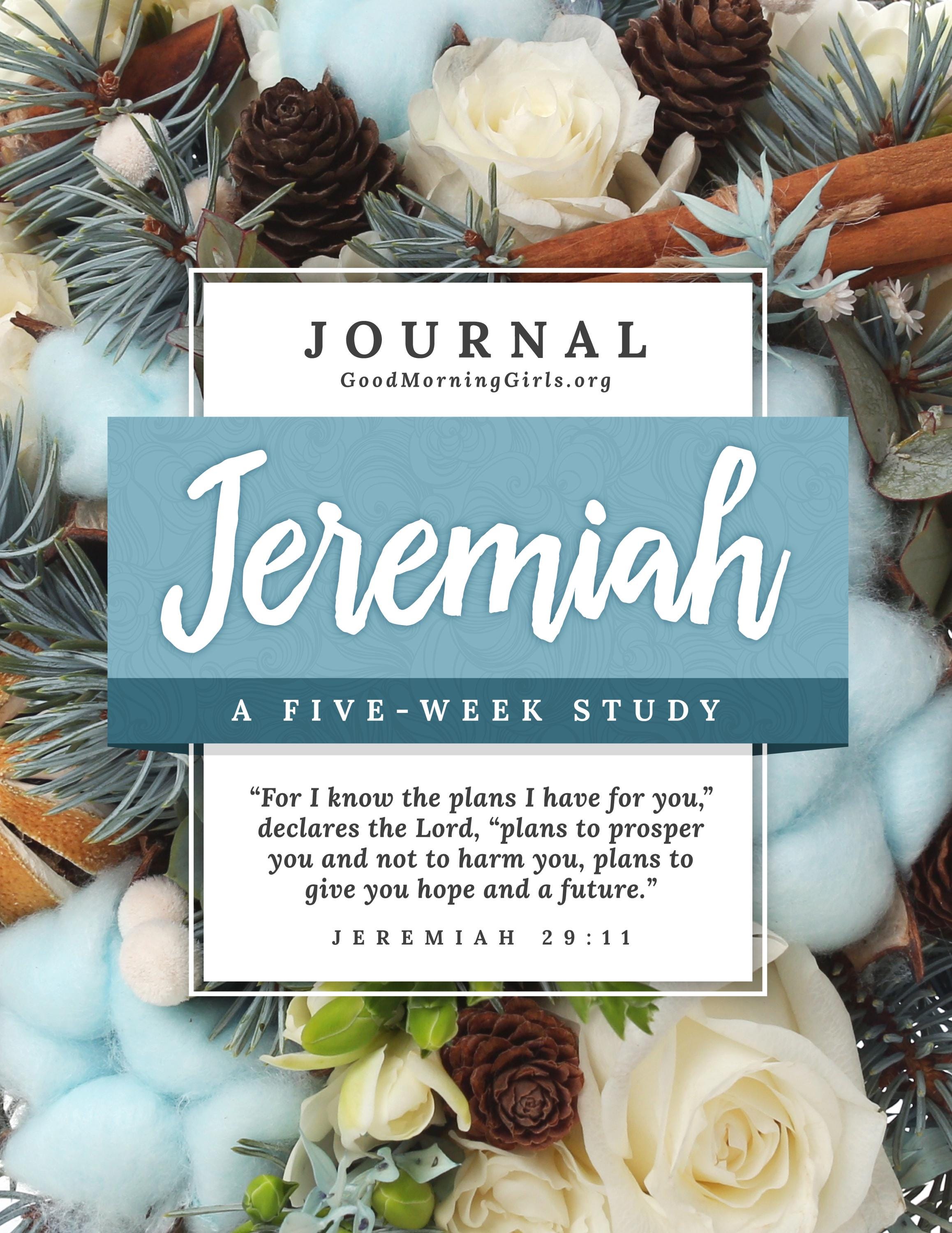 JEREMIAH: A 5-week Bible Study - Etsy
