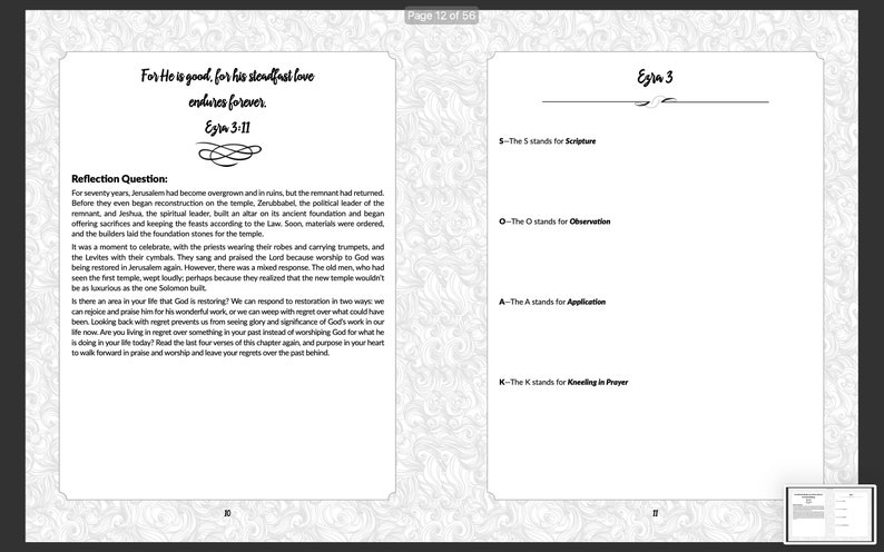 EZRA AND NEHEMIAH Journal: One Chapter a Day - Etsy