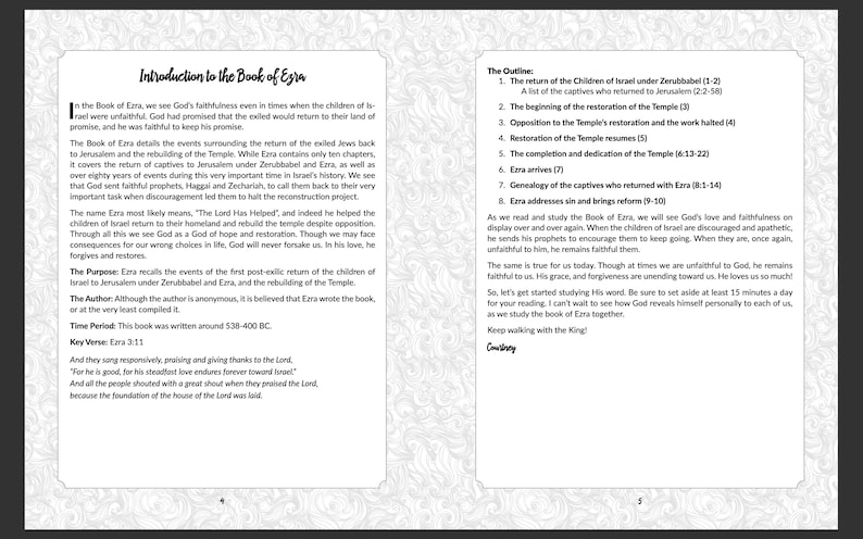 EZRA AND NEHEMIAH Journal: One Chapter a Day - Etsy