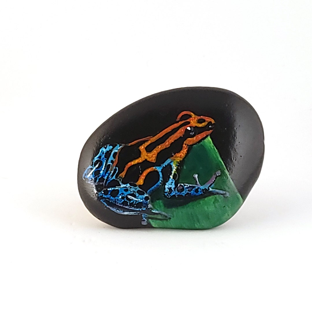 Stone Art Painting Painted Stone Frog Painting Poison Dart Frog High ...
