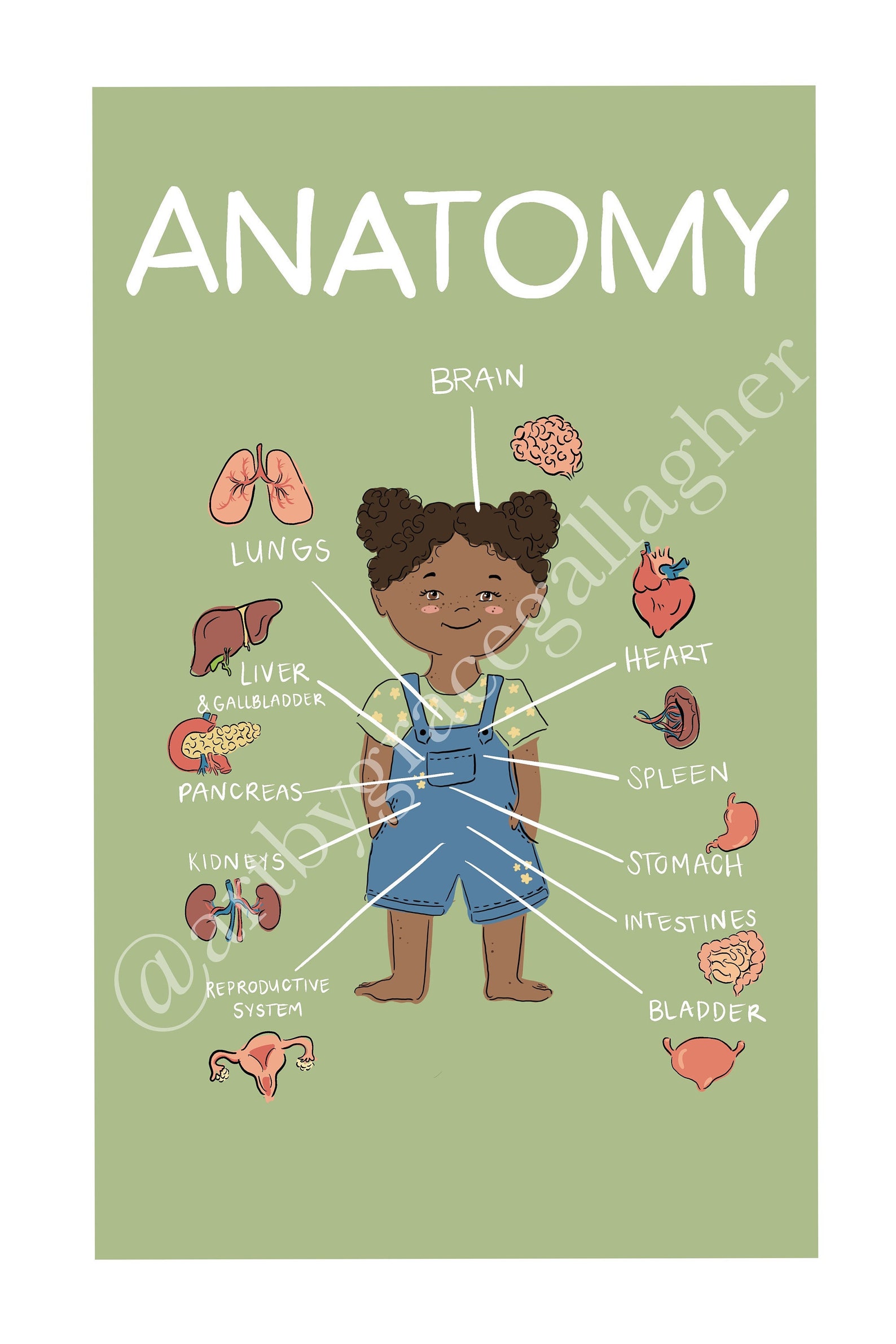Children's Anatomy Poster - Etsy