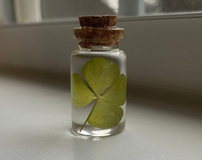 Four-leaf Clover Wish Bottles, Glass Herbarium, Good Luck Charm ...