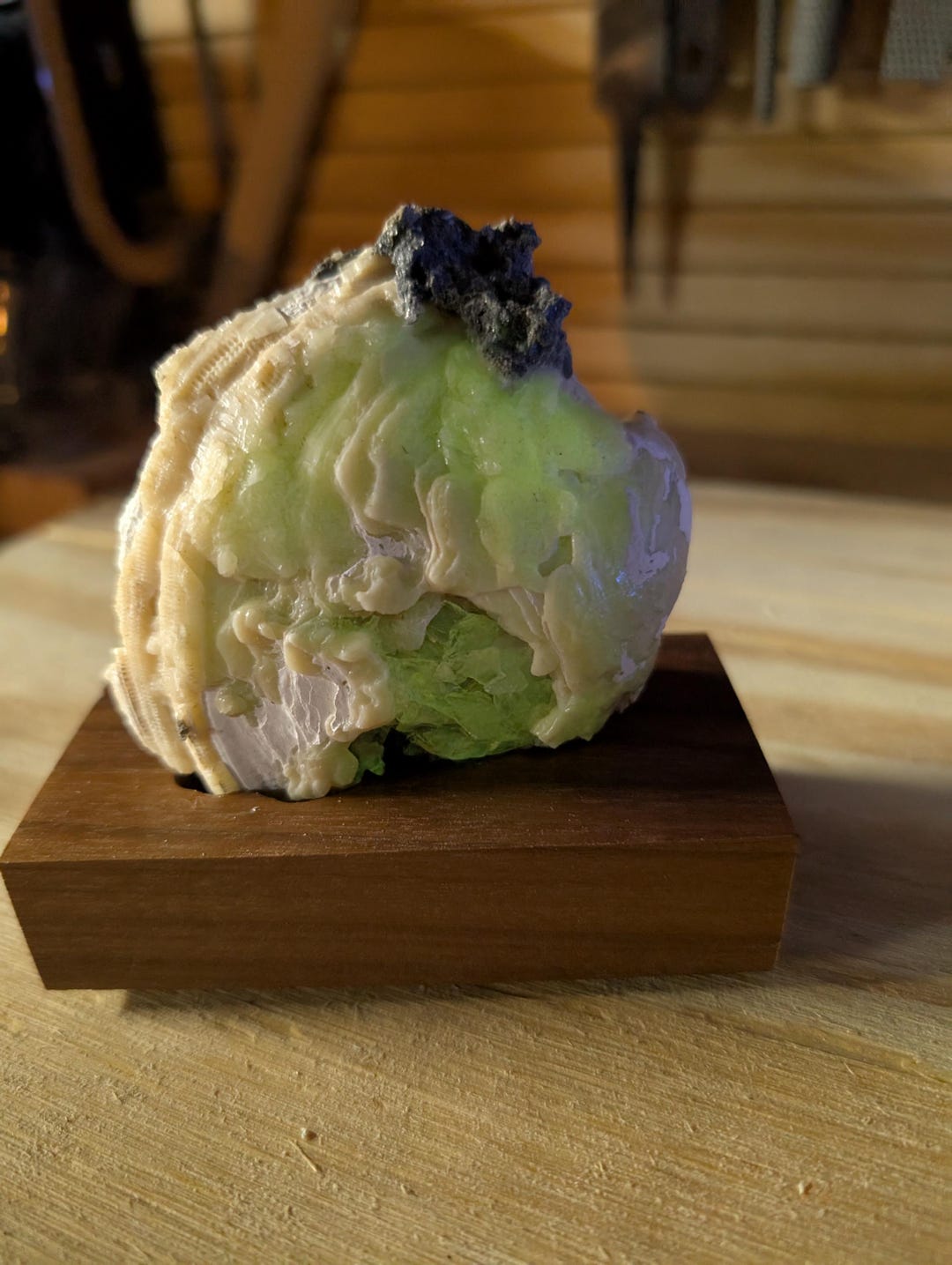 Rucks Pit, UV Calcite Clam Fossils - Etsy