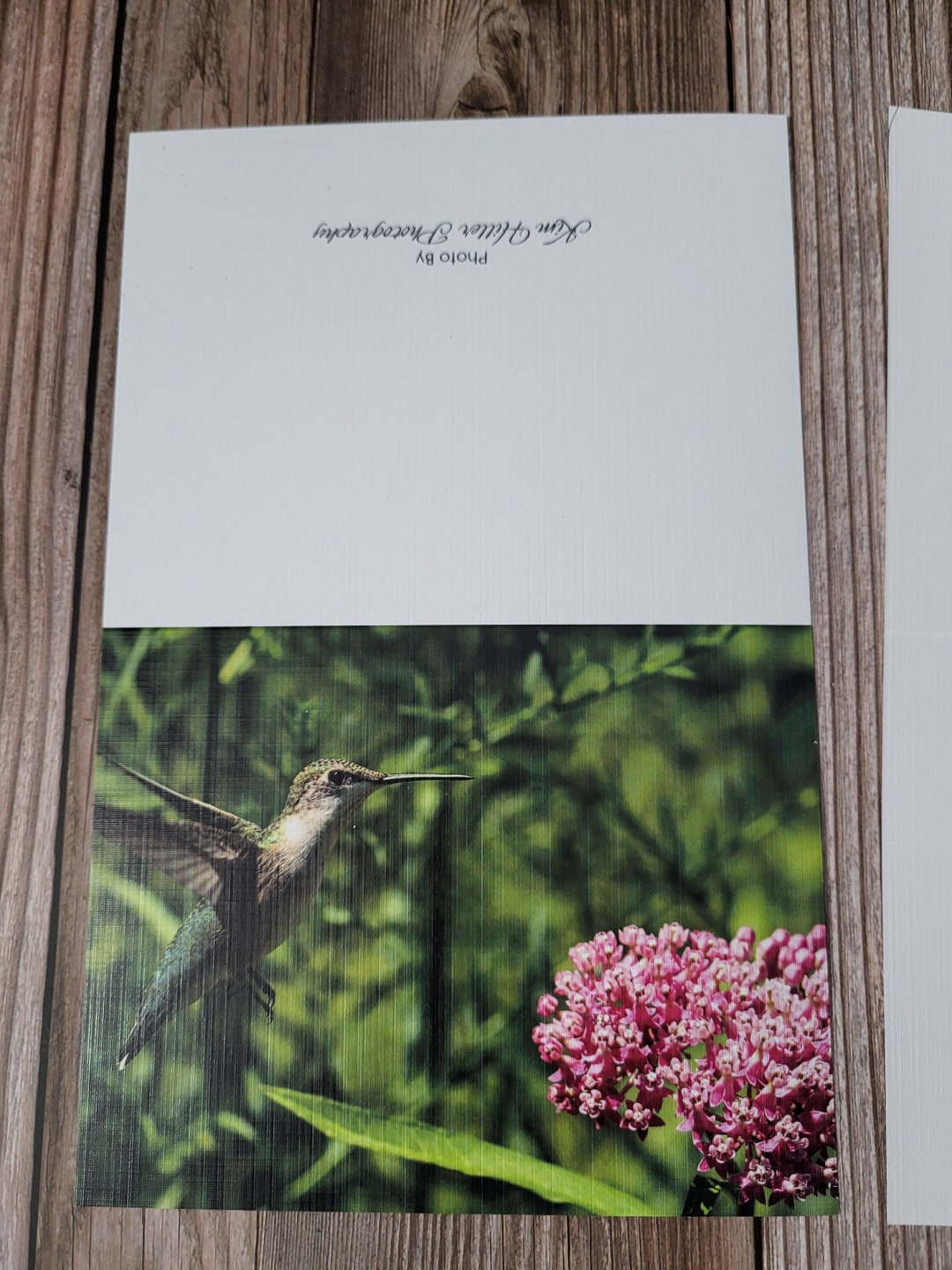 Blank Photo Hummingbird Notecard, Hummingbird and Flower Note Card ...