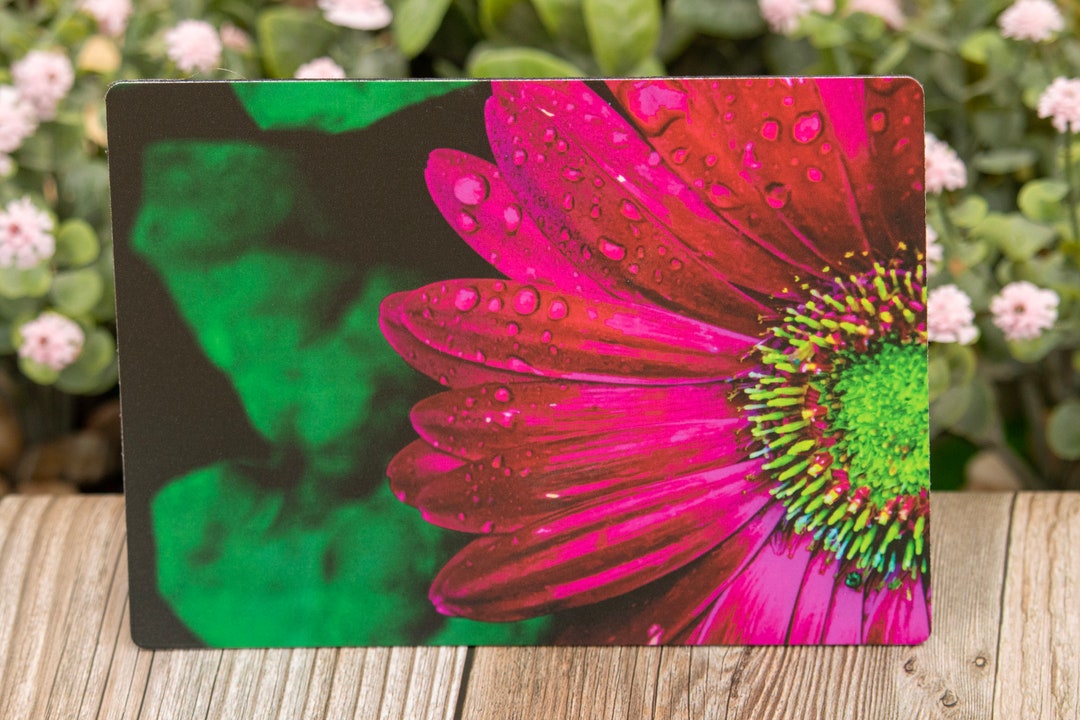 Pink Flower Photo Magnet, Nature Photo Magnet, Refrigerator Magnet ...