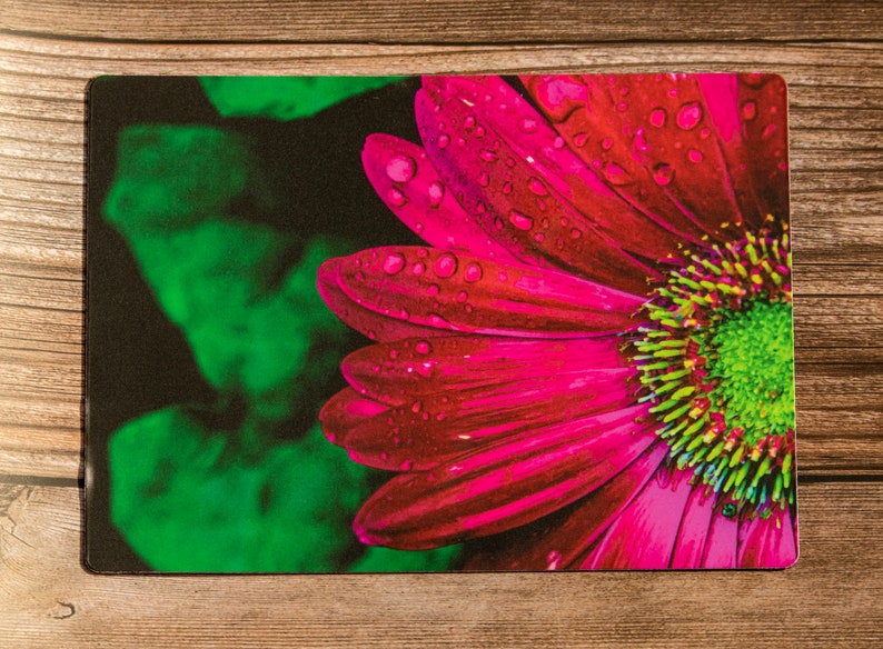 Pink Flower Photo Magnet, Nature Photo Magnet, Refrigerator Magnet ...