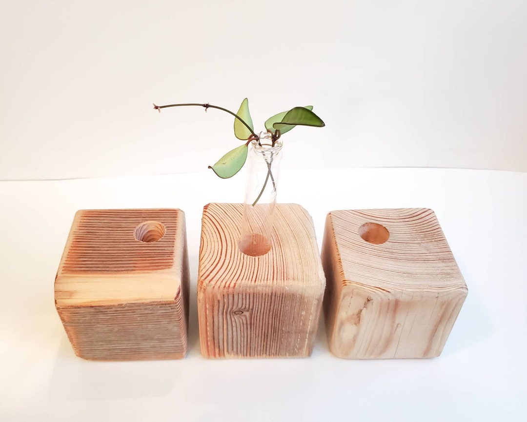 Natural Wood Single Propagation Station Hydroponic Vase - Etsy