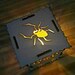 Halloween Lantern, Skull Box, Spooky Tea Light. Laser Cut Wood Box With ...