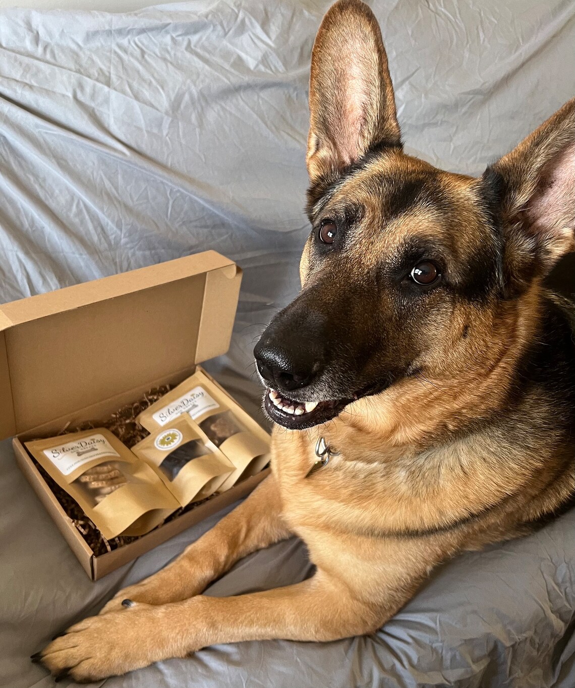 Matildas Favorites Box - Etsy