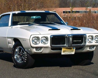 1978 Pontiac Firebird Trans AM Gold Bird 24 X 36 Inch Poster Beautiful ...
