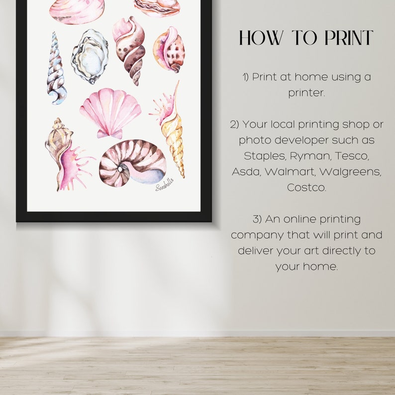 Seashell Art Print, Pink Seashell Poster, Bathroom Digital Art Print ...