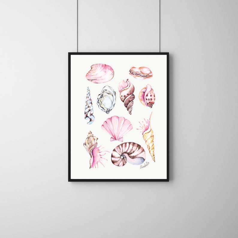 Seashell Art Print, Pink Seashell Poster, Bathroom Digital Art Print ...