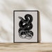 Snake Sketch Art Print, Printable Python Drawing, INSTANT DOWNLOAD ...