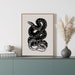 Snake Sketch Art Print, Printable Python Drawing, INSTANT DOWNLOAD ...