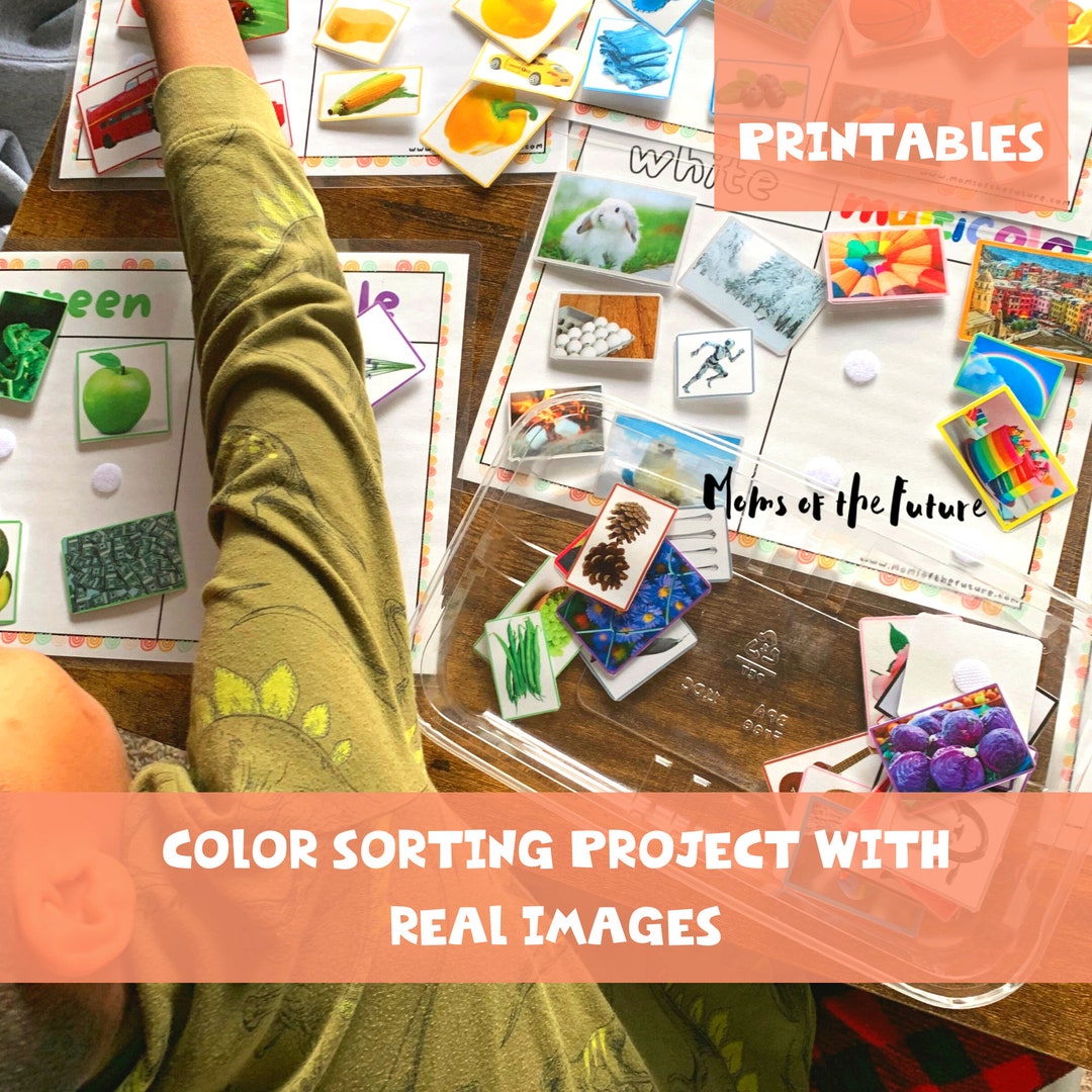 Sensory, Montessori Sorting Colors Printable Activity With High ...