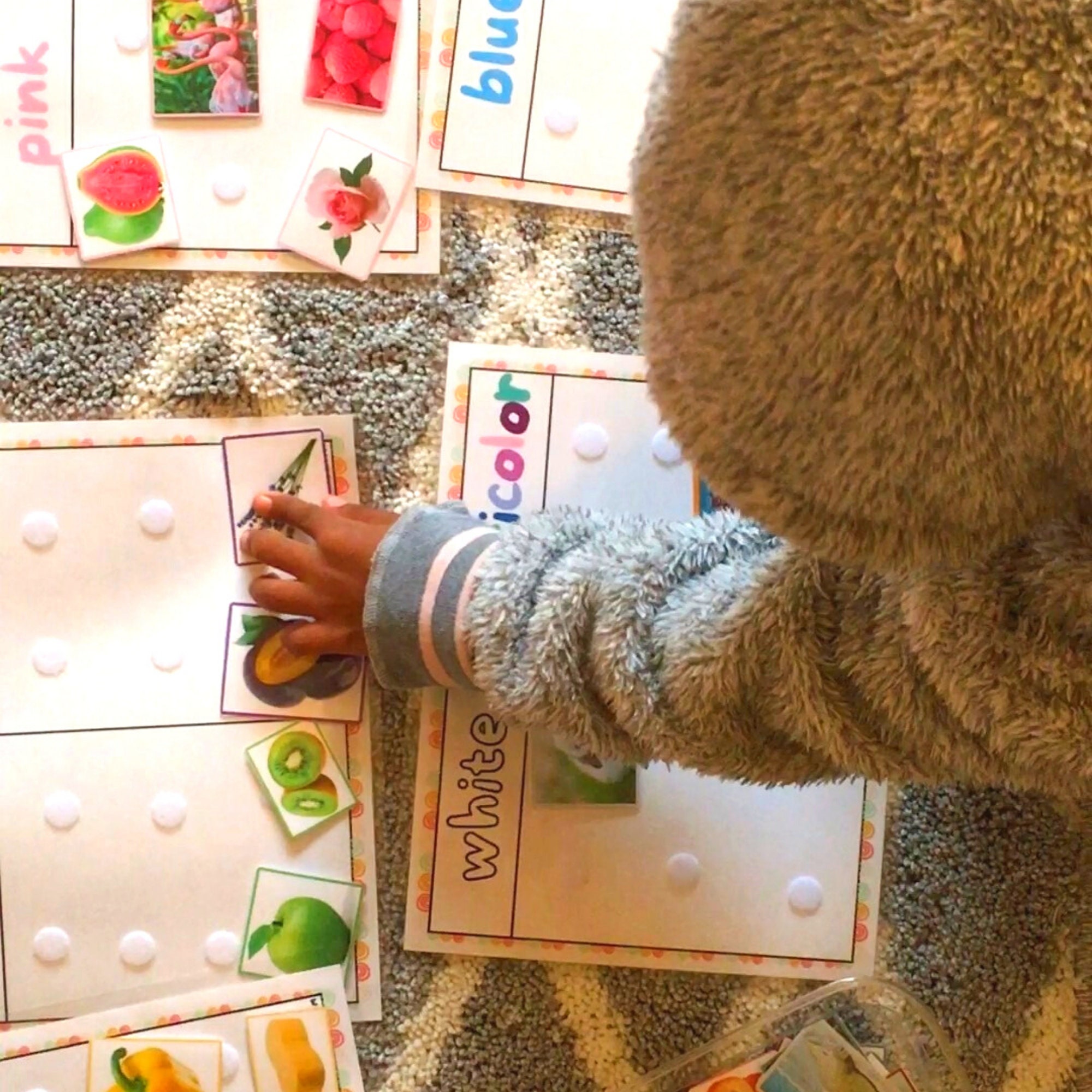 Sensory, Montessori Sorting Colors Printable Activity With High ...