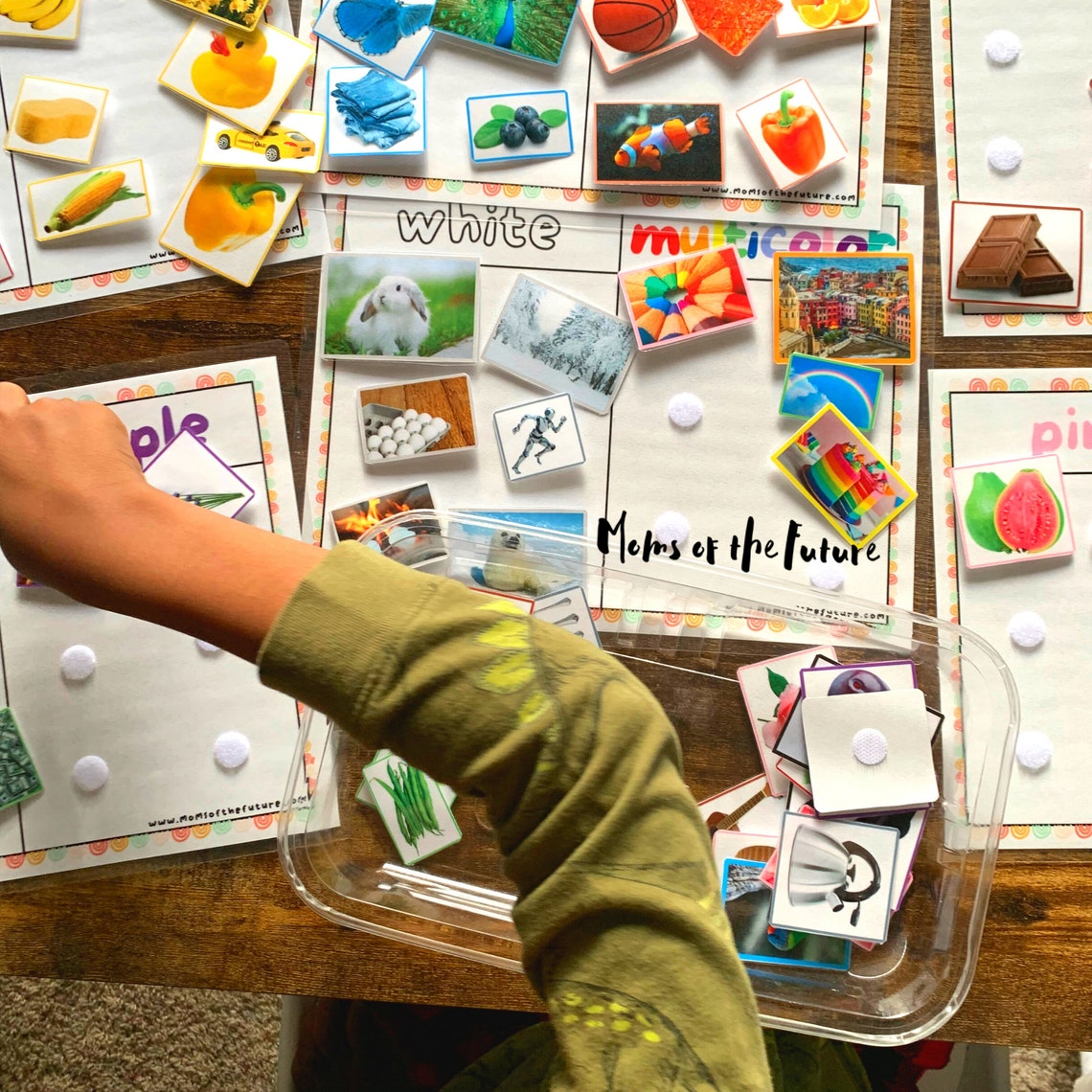Sensory, Montessori Sorting Colors Printable Activity With High ...