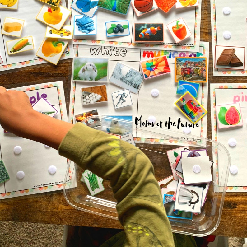 Sensory, Montessori Sorting Colors Printable Activity With High ...