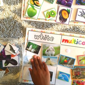 Sensory, Montessori Sorting Colors Printable Activity With High ...