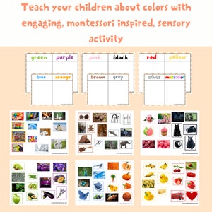 Sensory, Montessori Sorting Colors Printable Activity With High ...