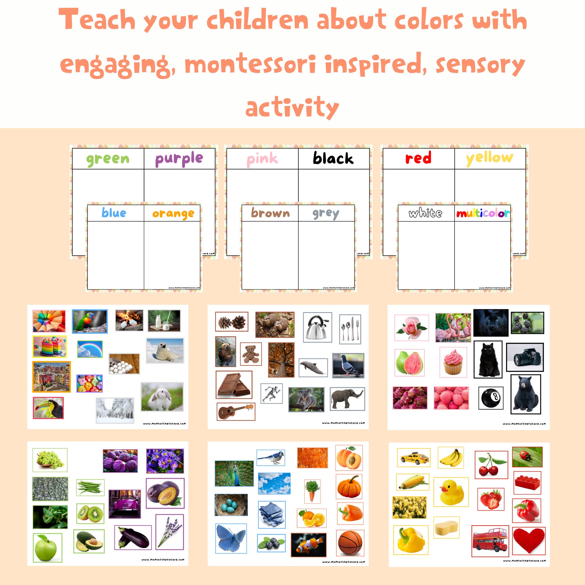 Sensory, Montessori Sorting Colors Printable Activity With High ...