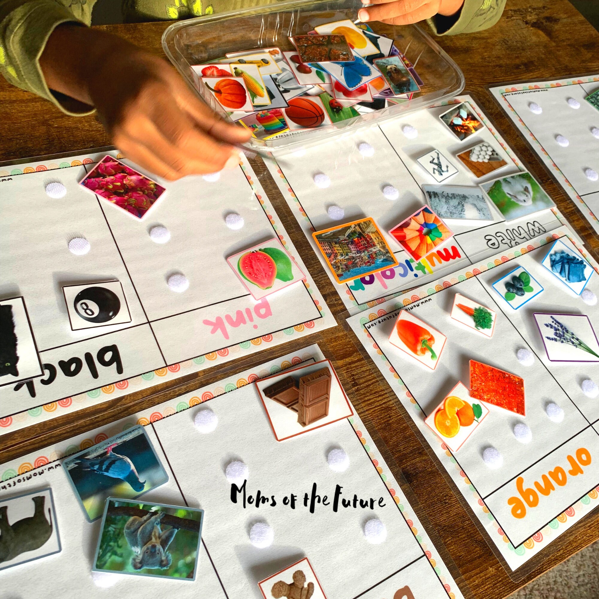 Sensory, Montessori Sorting Colors Printable Activity With High ...