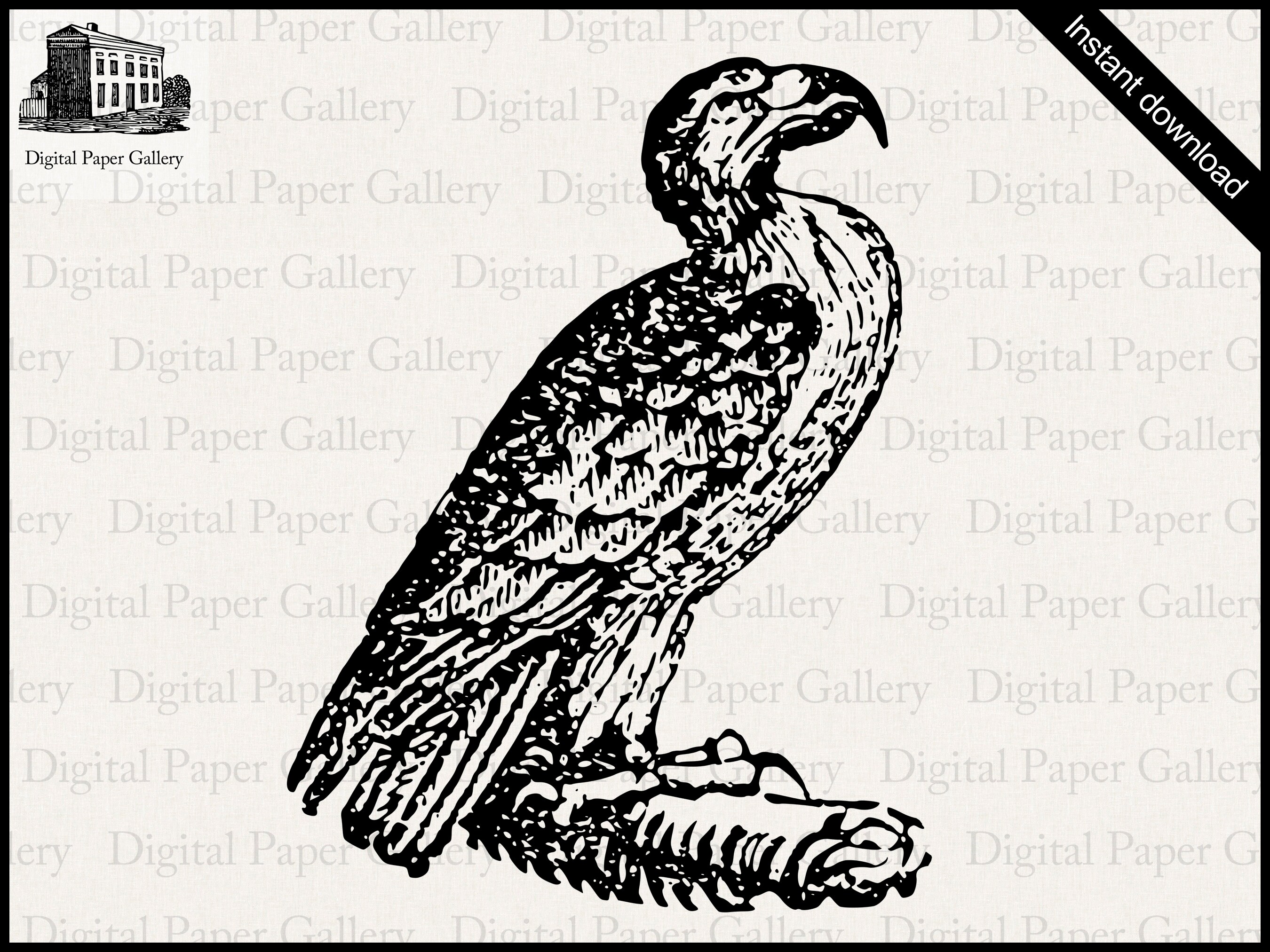 Vintage Woodcut Eagle PNG Illustration Instant Download Digital ...