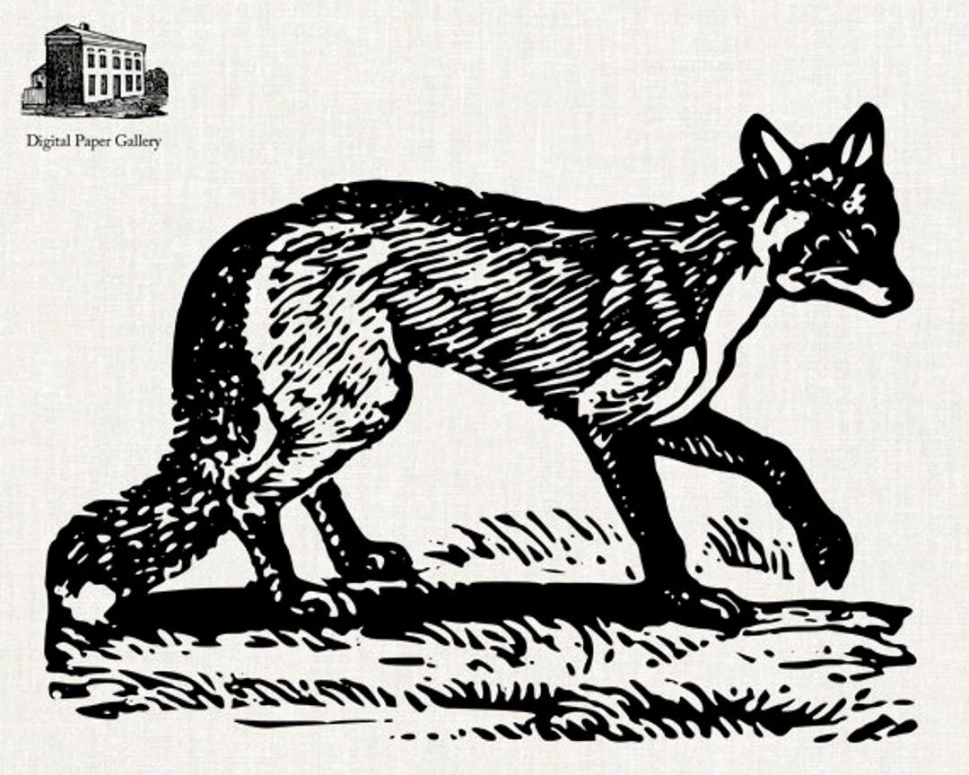 Vintage Woodcut Fox Illustration Instant Download Digital Printable ...