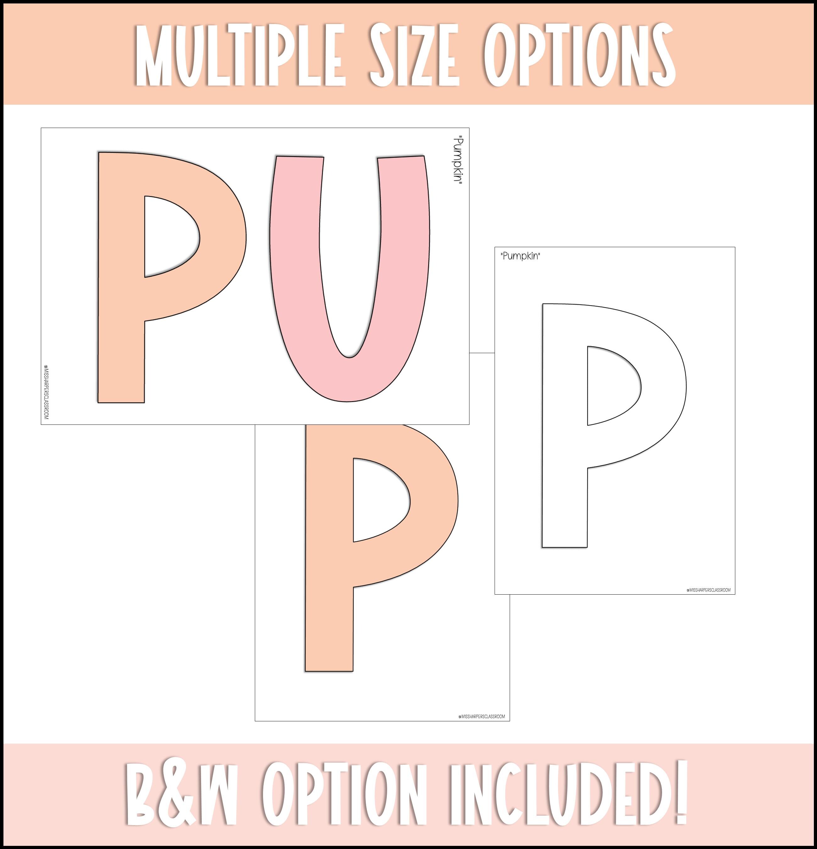 Fall Bulletin Board Kit | Trendy Pastel Pumpkins | Classroom Decor - Etsy