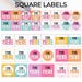 Classroom Labels | Editable | Vibrant Vibes | Book Bin Labels | Name ...